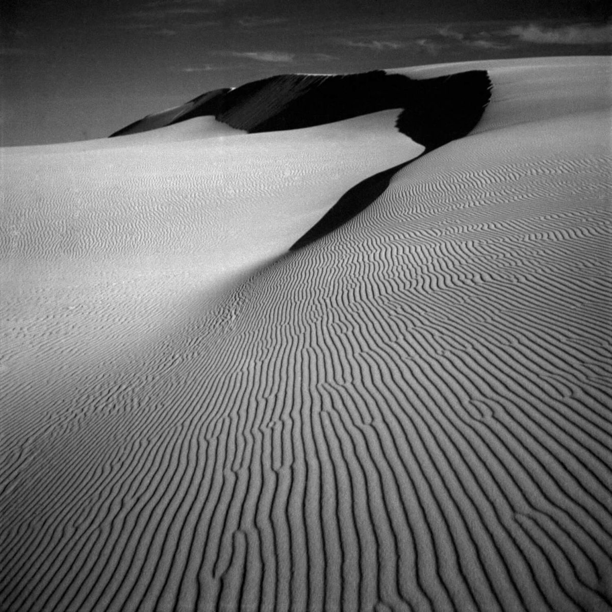 LANDSCAPES - Max Dupain Photography