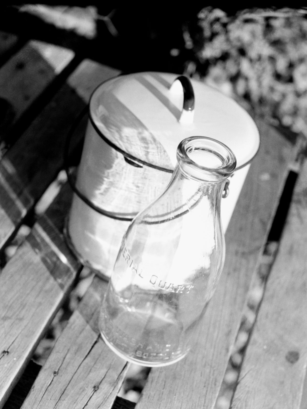 STILL LIFE - Max Dupain Photography